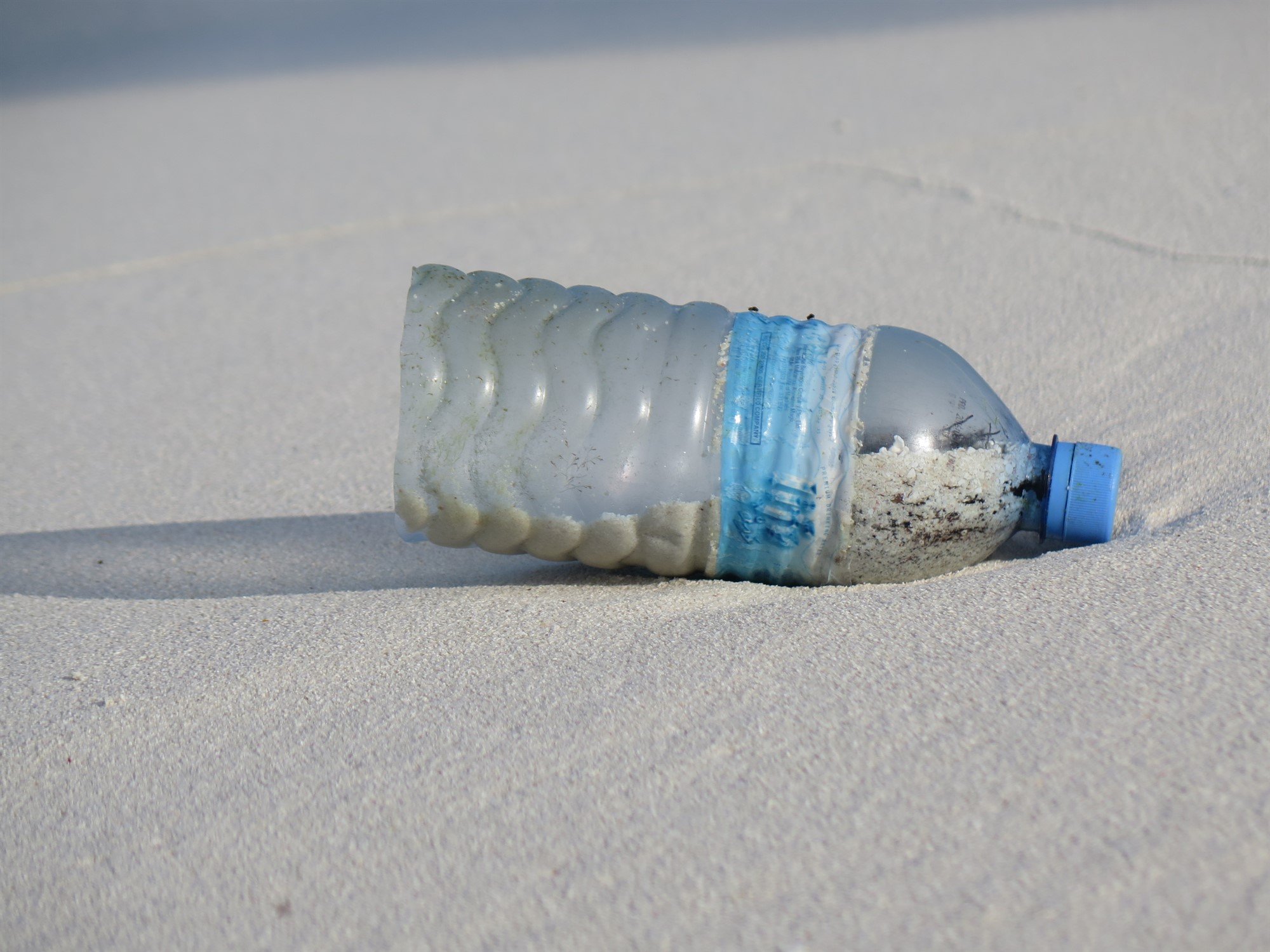 Top Tips for a Successful Beach Cleanup – Green Fins