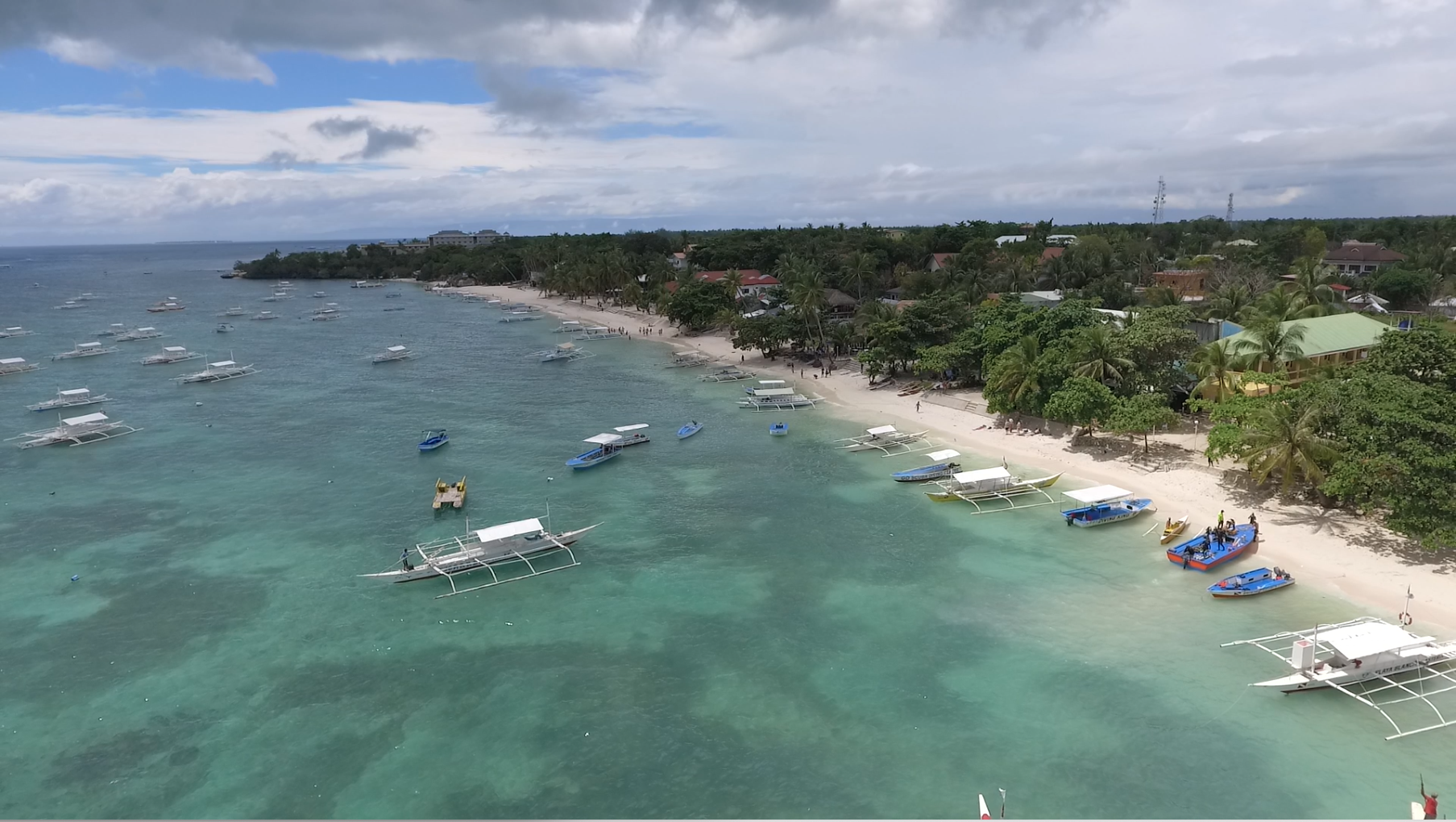 Panglao Island – Green Fins