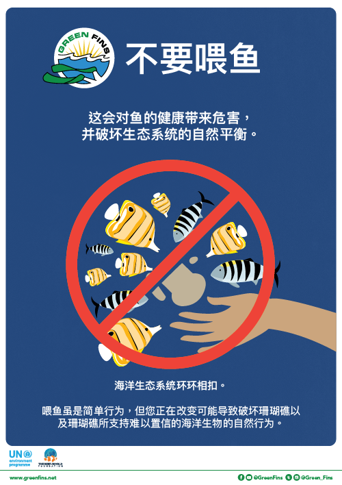 5 reasons why we shouldn't feed the fish – Green Fins