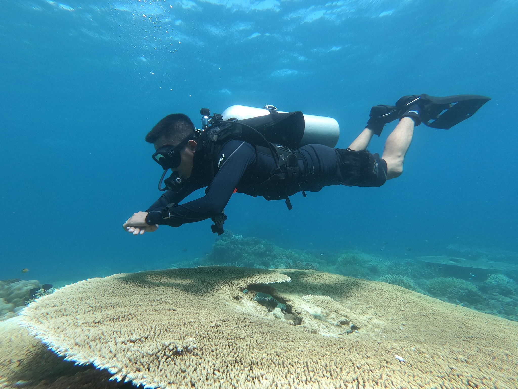 Sustainable Diving Practices – Green Fins