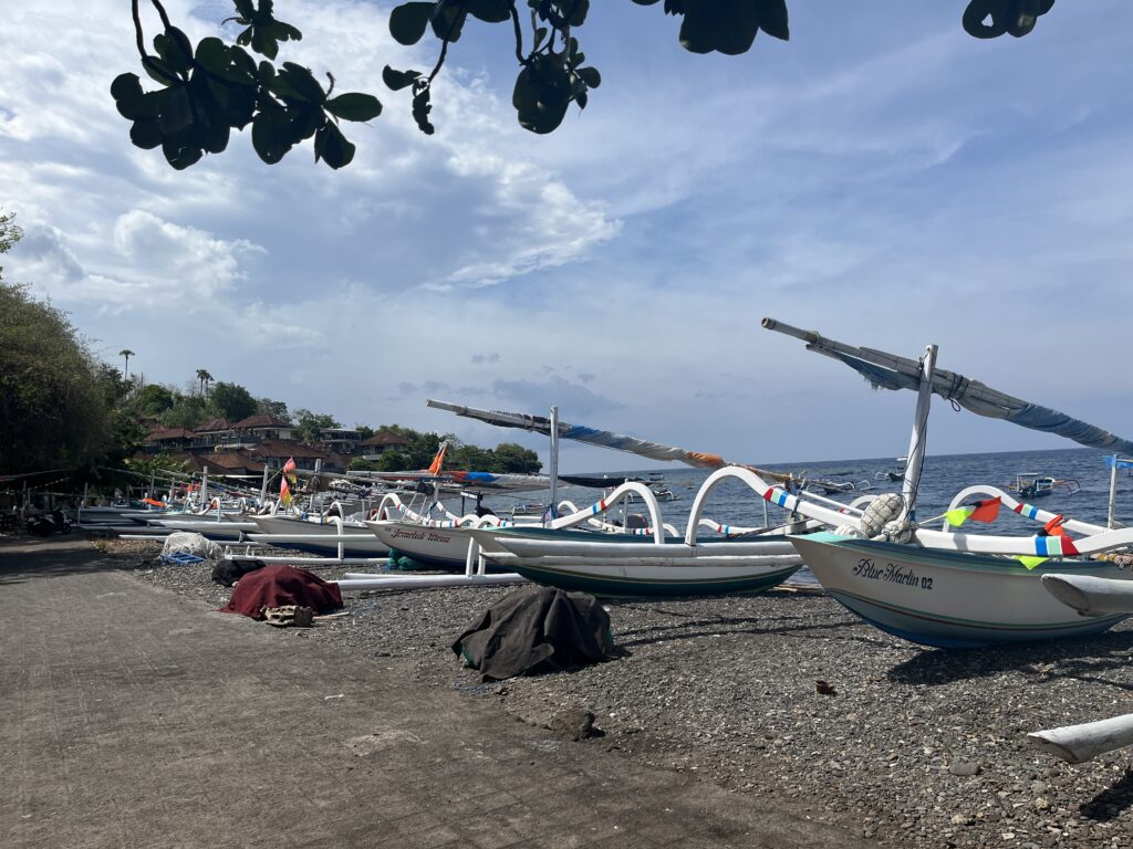 Green Fins Indonesia is committed to expanding sustainability to marine ...